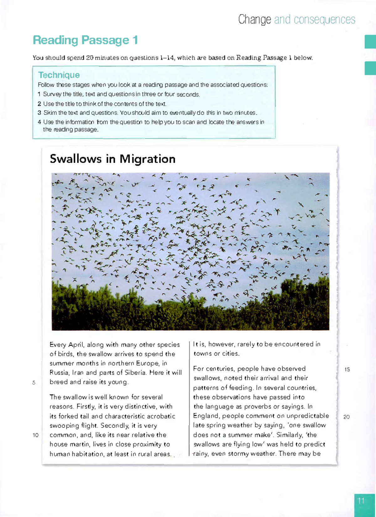 Swallows in Migration: Navigating Change and Challenges in Flight - Studocu