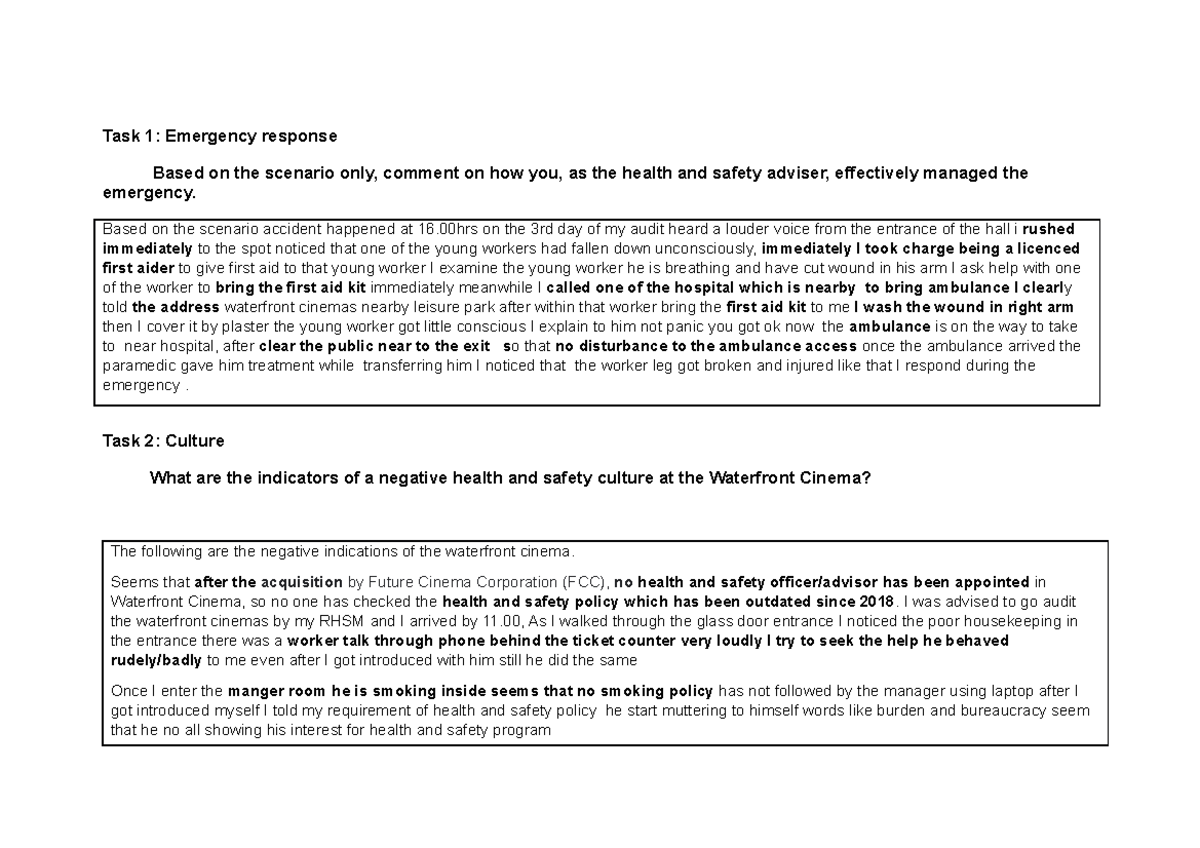 Health & Safety Audit Report: Emergency Response & Culture Analysis ...