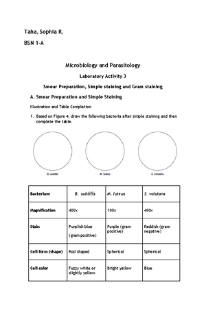 Lab 2-The Microscope Worksheet - Lab Exercise 2: The Microscope Lab Summary: In this lab, you ...