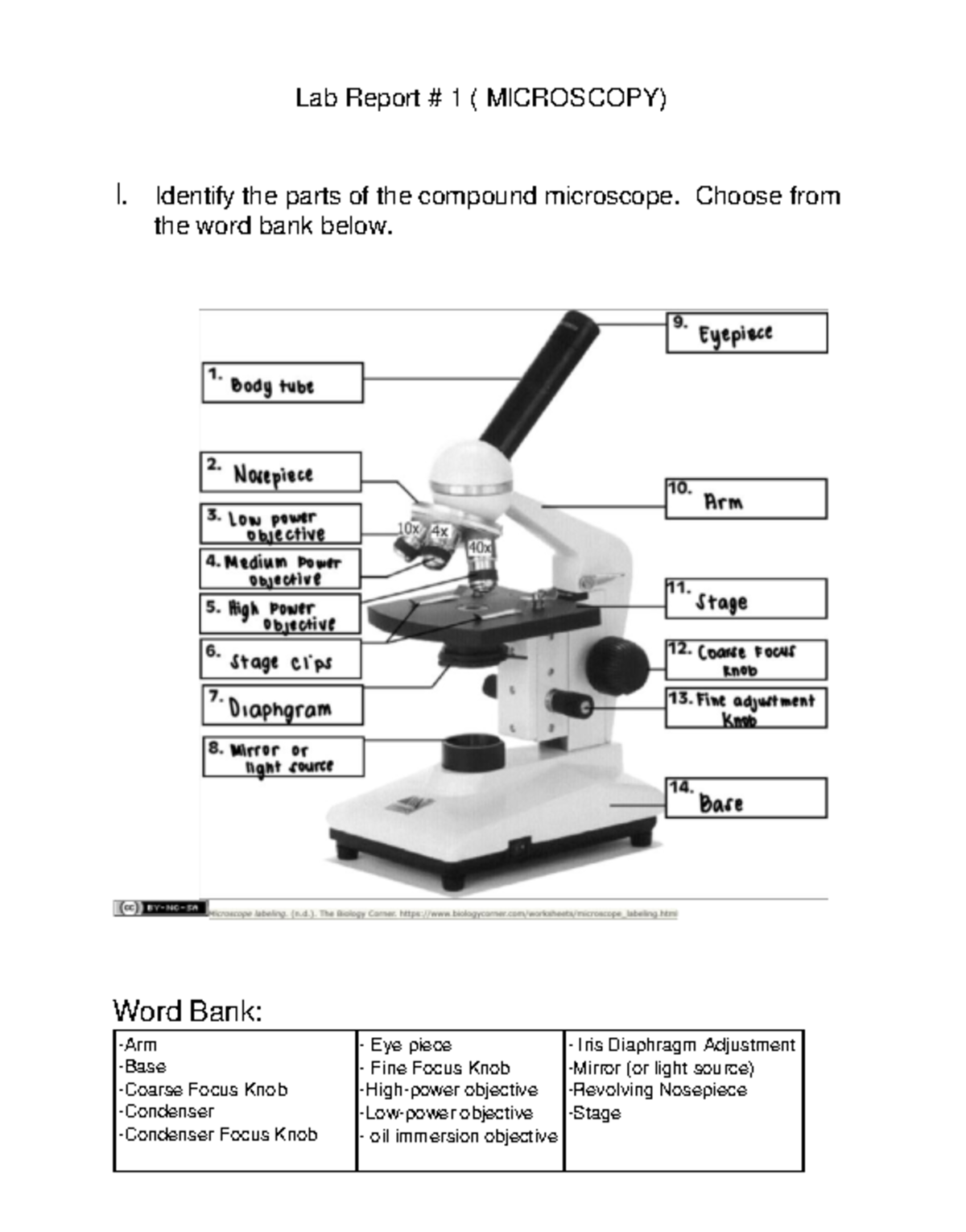 Microscope - Lab Report # 1 ( MICROSCOPY) I. Identify the parts of the ...