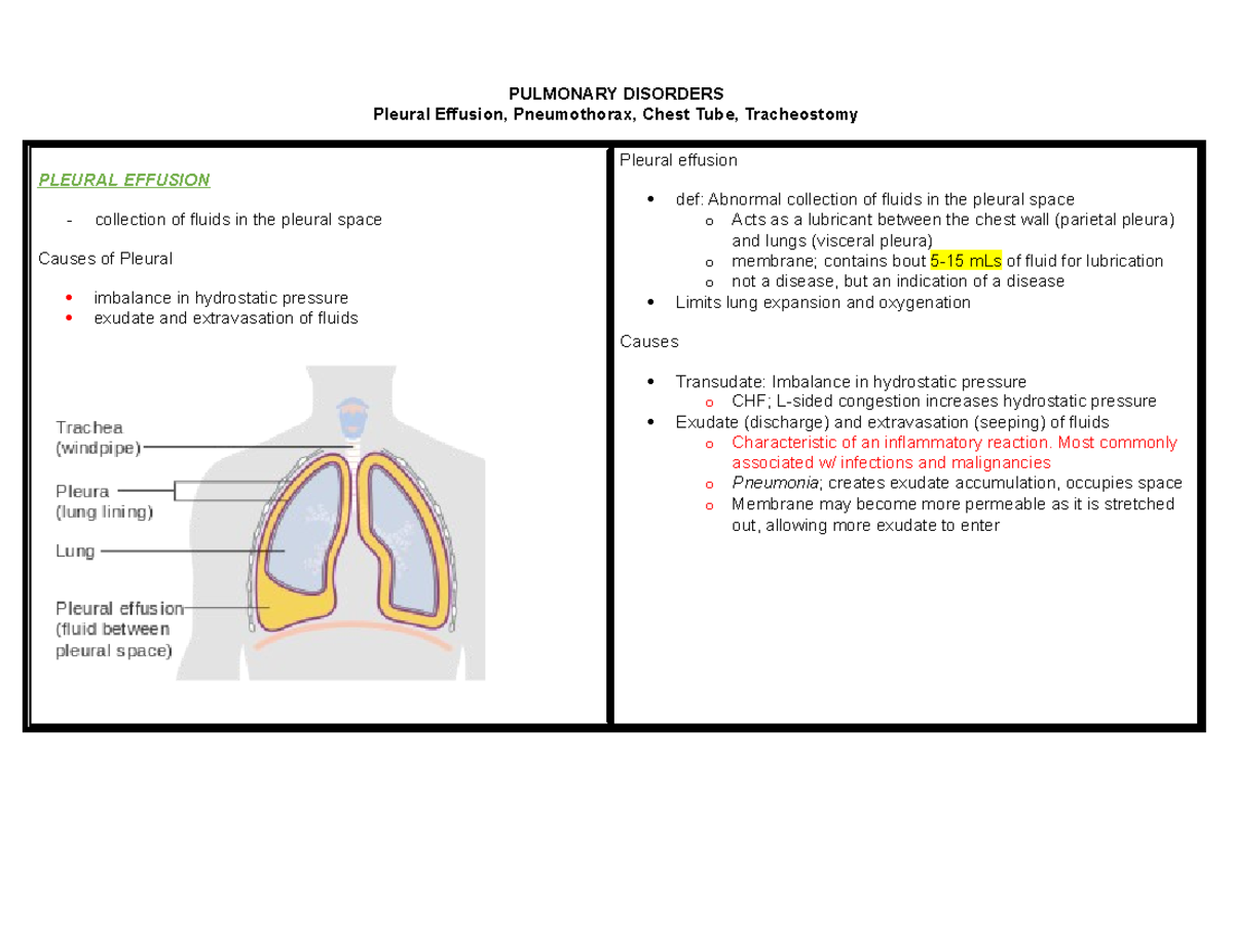 Sanguineous Pleural Fluid