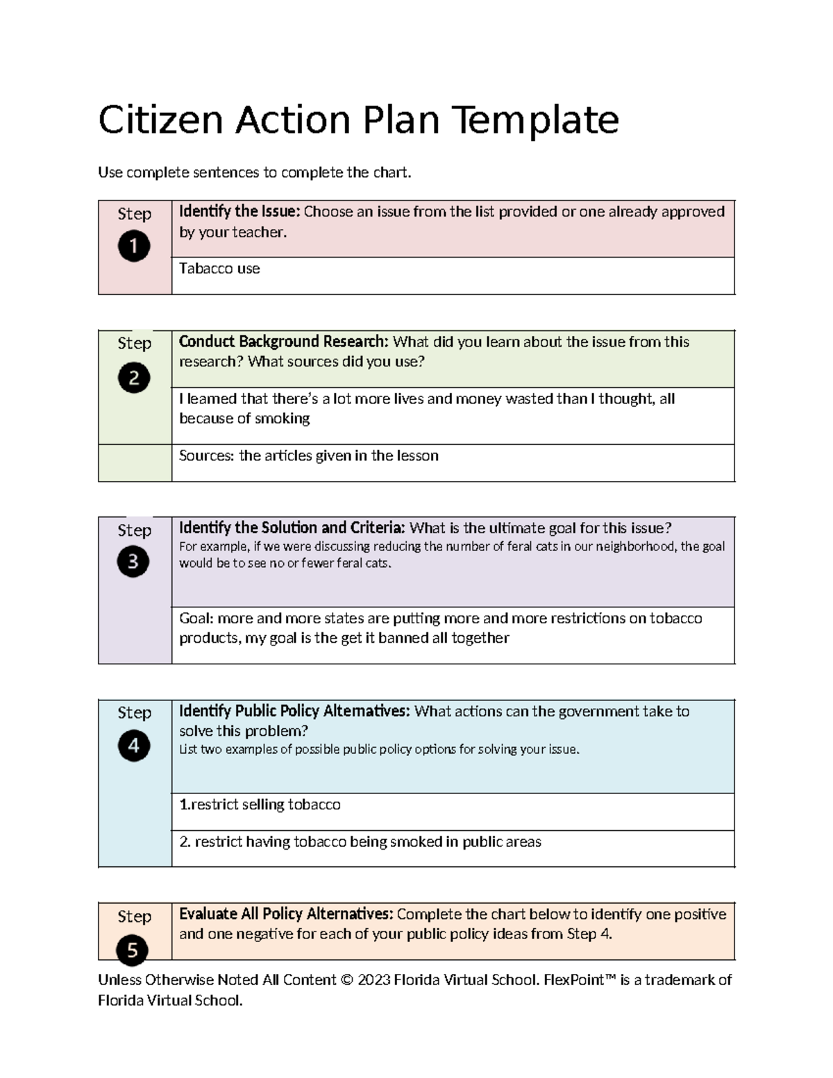 Citizen action template - Citizen Action Plan Template Use complete ...