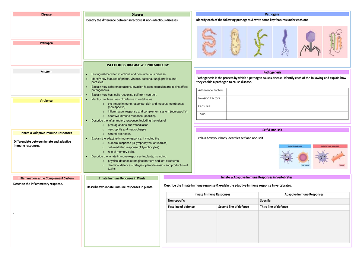 Infectious Disease & Epidemiology: Key Concepts and Immune Responses - Studocu