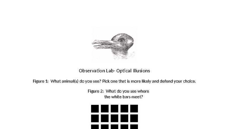 Optical Illusions Observation Activity: Analyzing Perception - Studocu