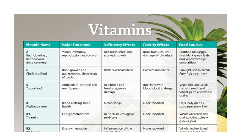 Vitamins Overview: Functions, Deficiencies, and Food Sources - Studocu