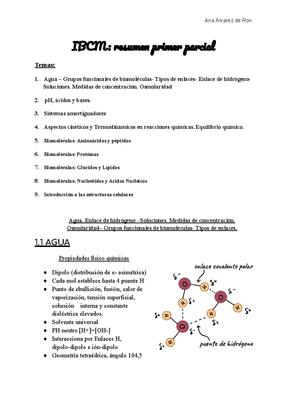 Resumen IBCM: Conceptos Clave y Puntos Importantes - Studocu