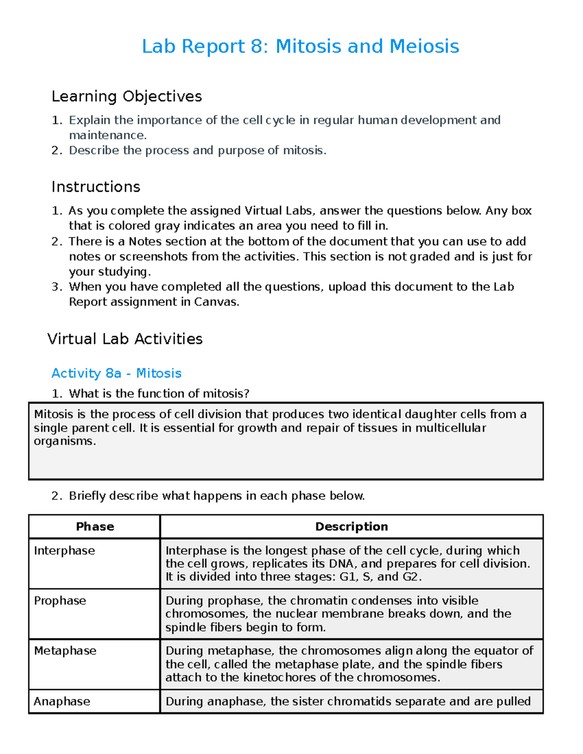 Lab Report 8 - Mitosis and Meiosis - Learning Objectives Explain the ...