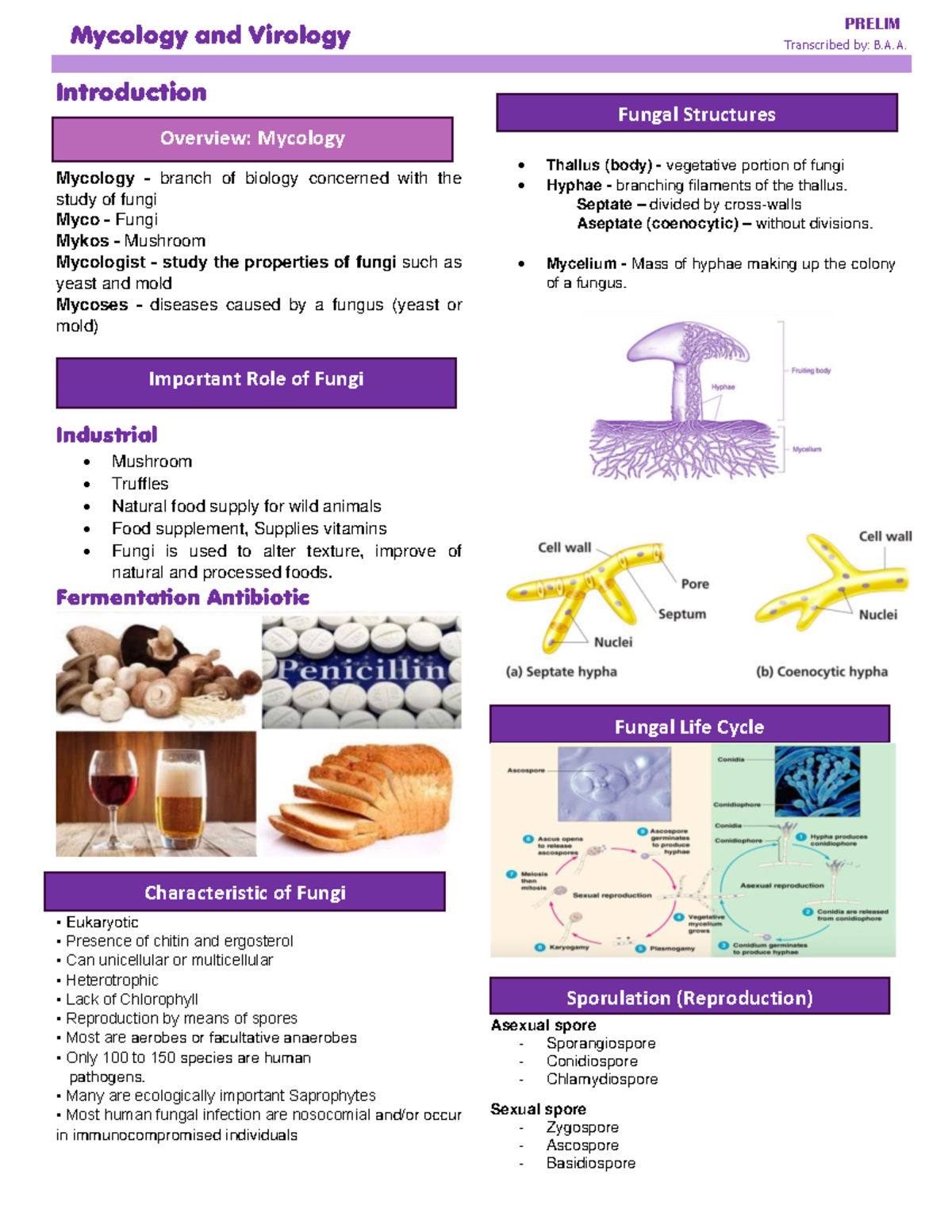 Myco Viro: Comprehensive Notes on Fungi and Their Infections - Studocu