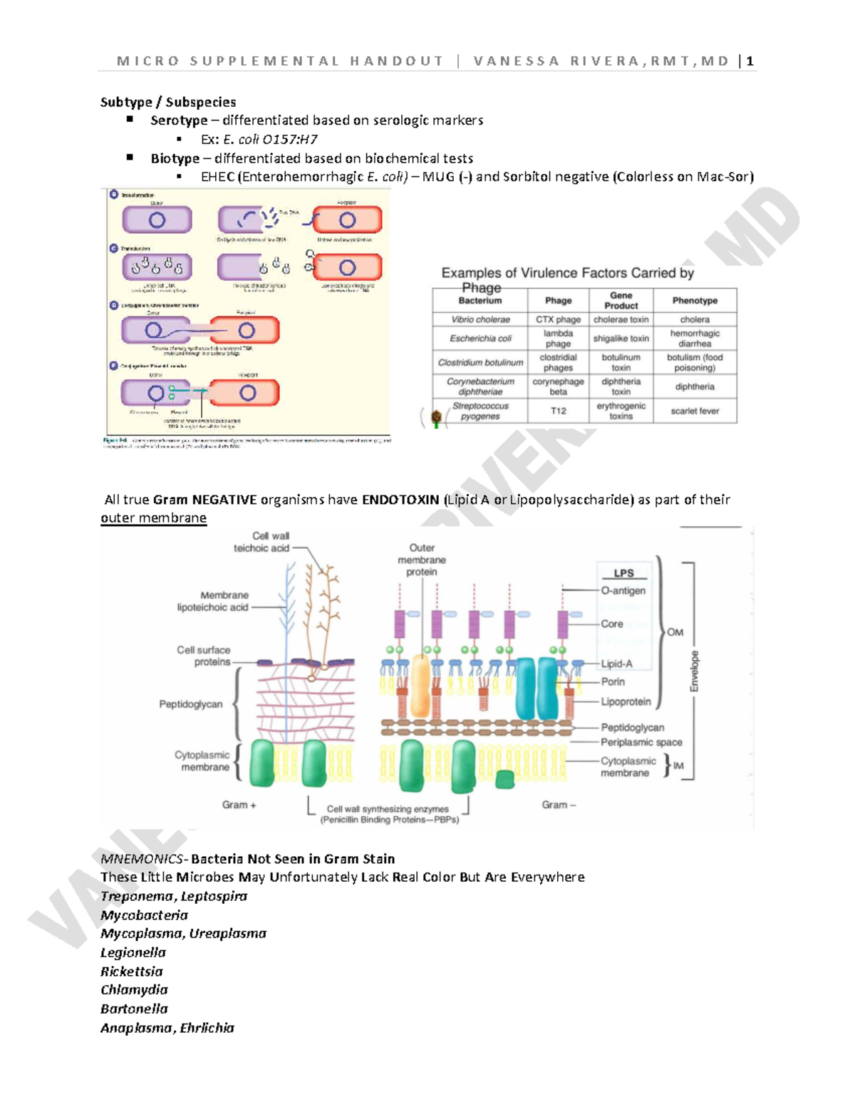 Microbiology Supplemental Handout: Key Concepts and Agents - Studocu