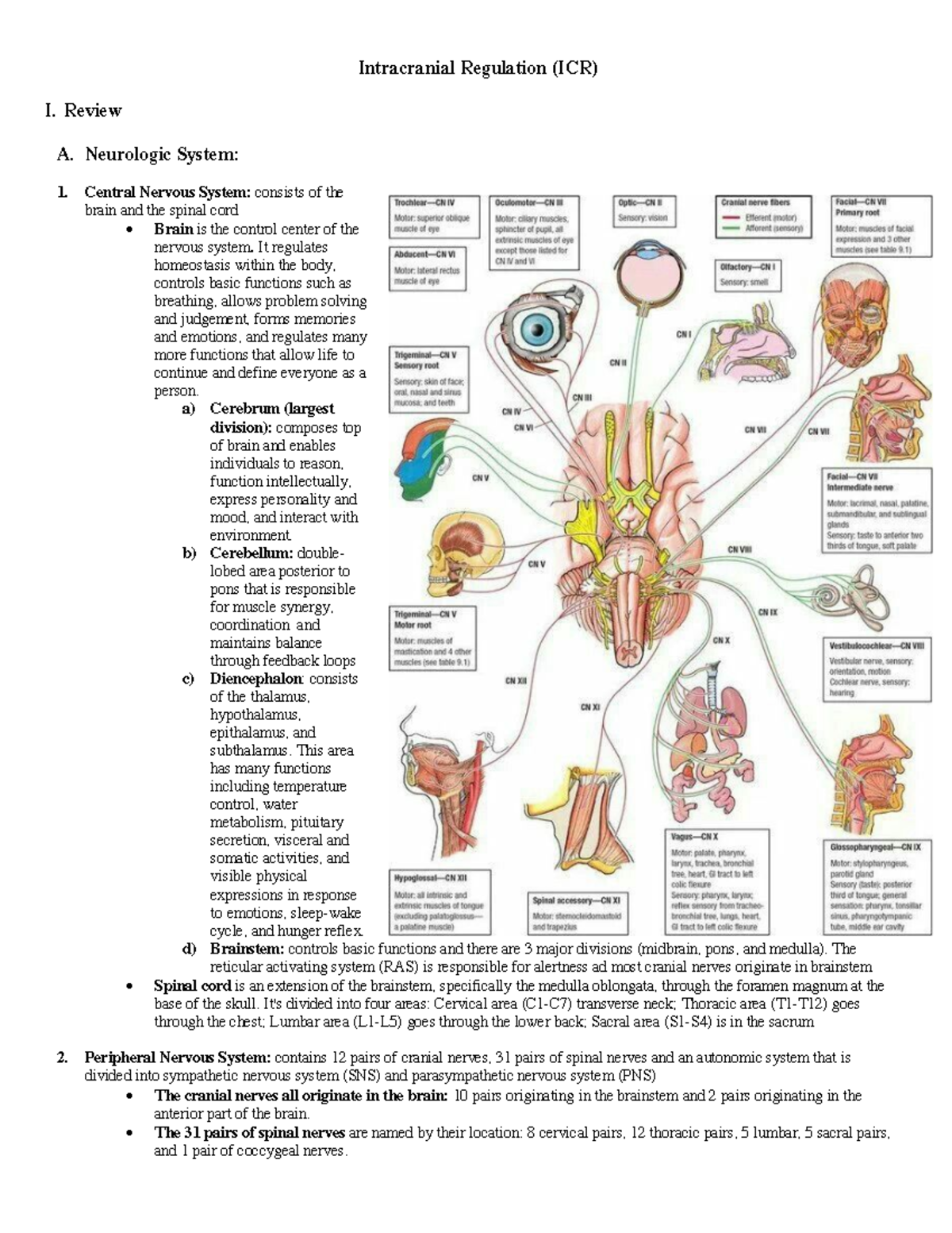 Intracranial Regulation: Key Concepts in Neurologic Function and ICP ...