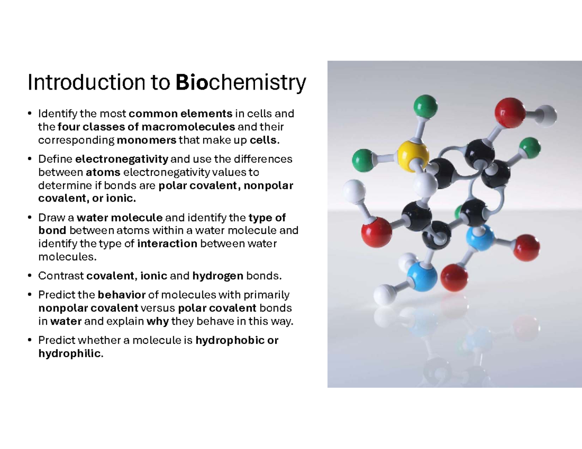 Intro to Biochemistry: Key Concepts in Molecular Interactions and Water ...