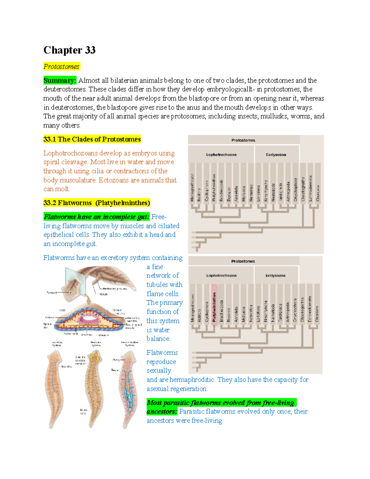 Bio Chapter 33 Notes - Biology - Chapter 33 Protostomes Summary: Almost ...