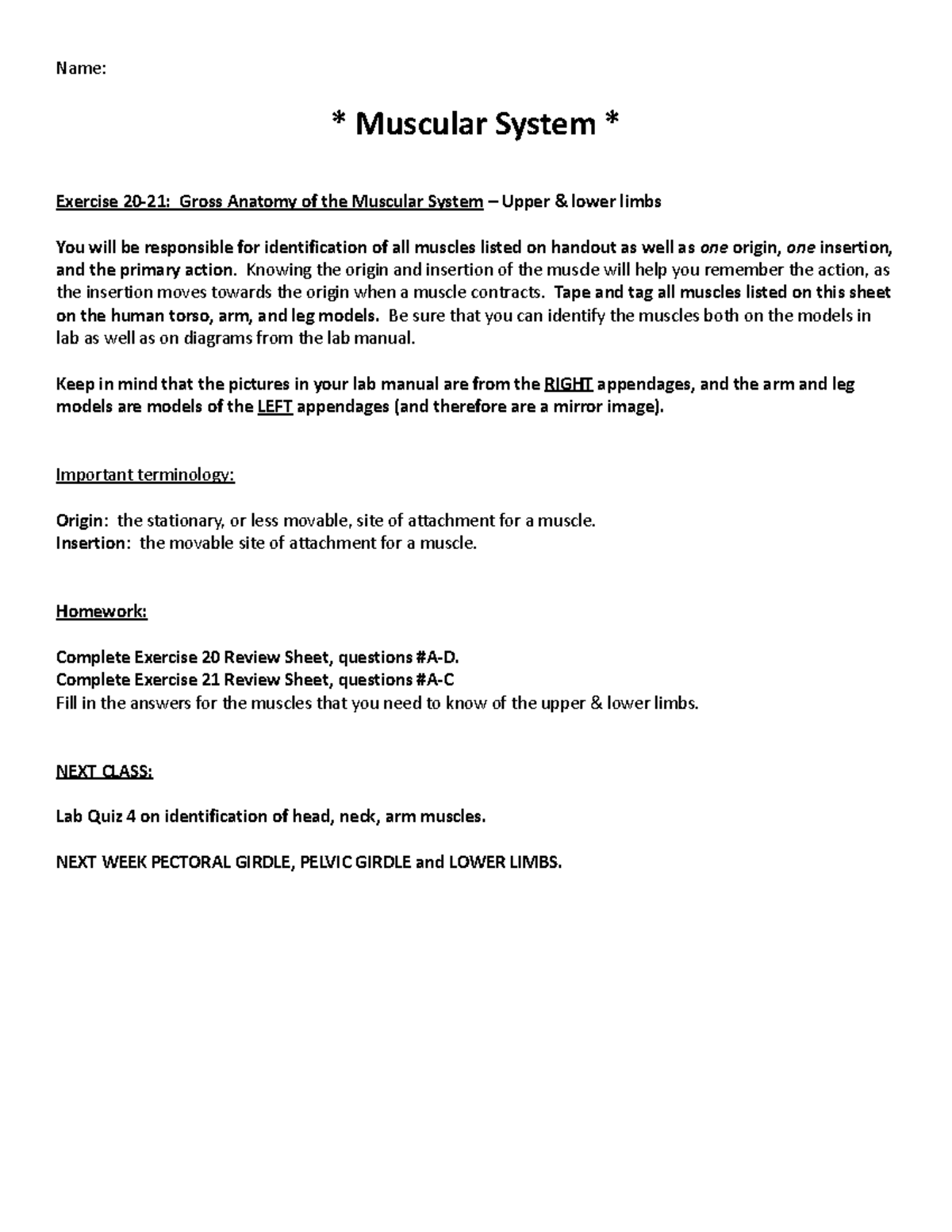 Exercise 20 & 21: Muscular System - Upper & Lower Limbs Lab Guide - Studocu