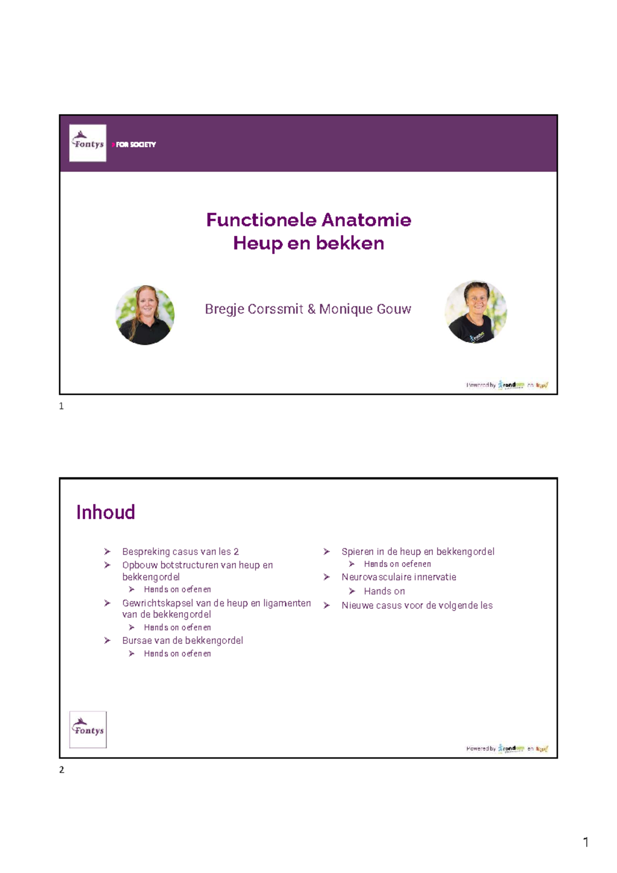 KHR - Les 3 - Functionele Anatomie Heup en Bekken Oefenmateriaal ...