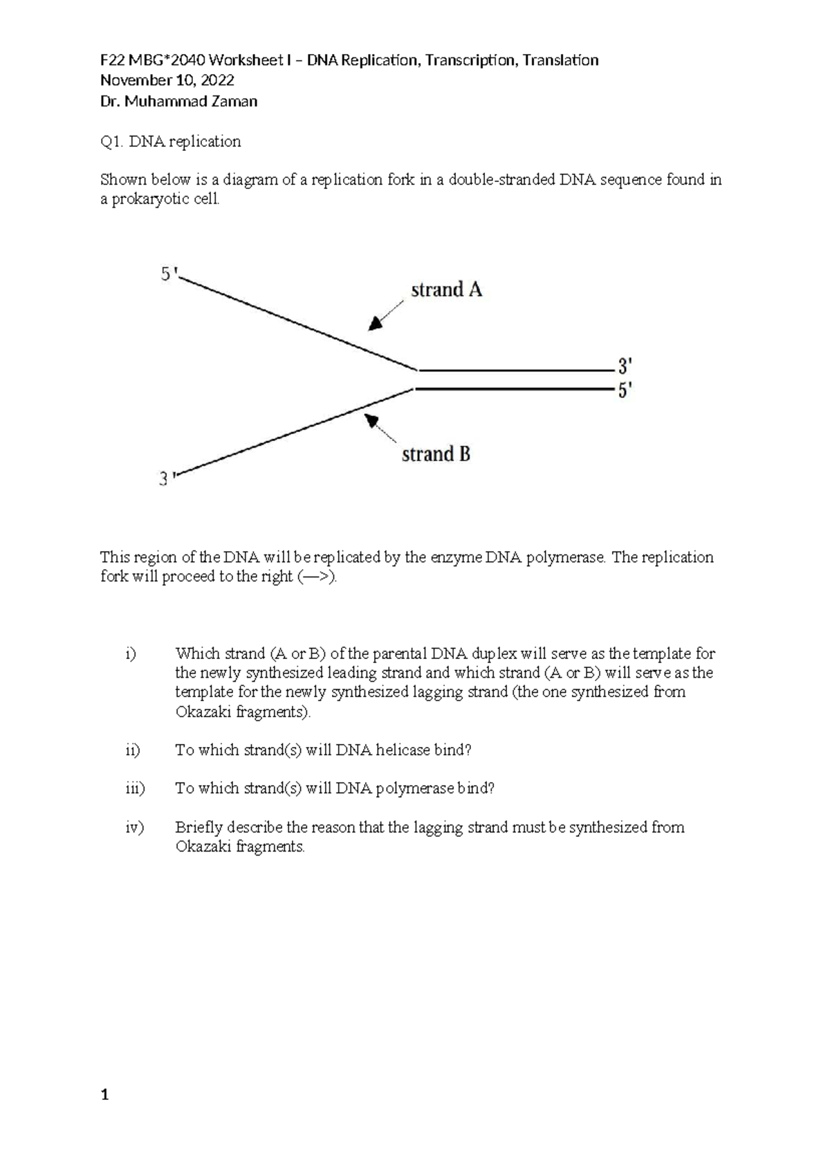 F22 MBG 2040 Worksheet 1: DNA Replication & RNA Processing - Studocu
