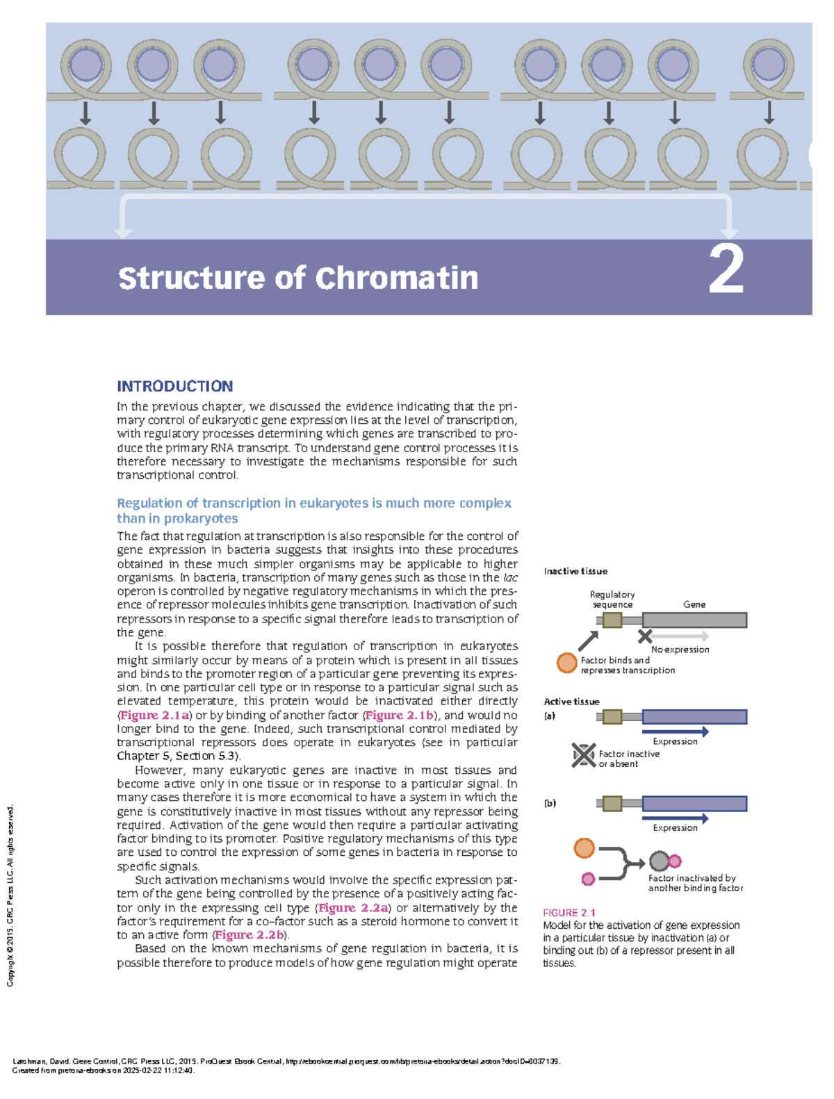 CHAPTER 2: STRUCTURE OF CHROMATIN - Insights into Gene Control (Bio 101 ...
