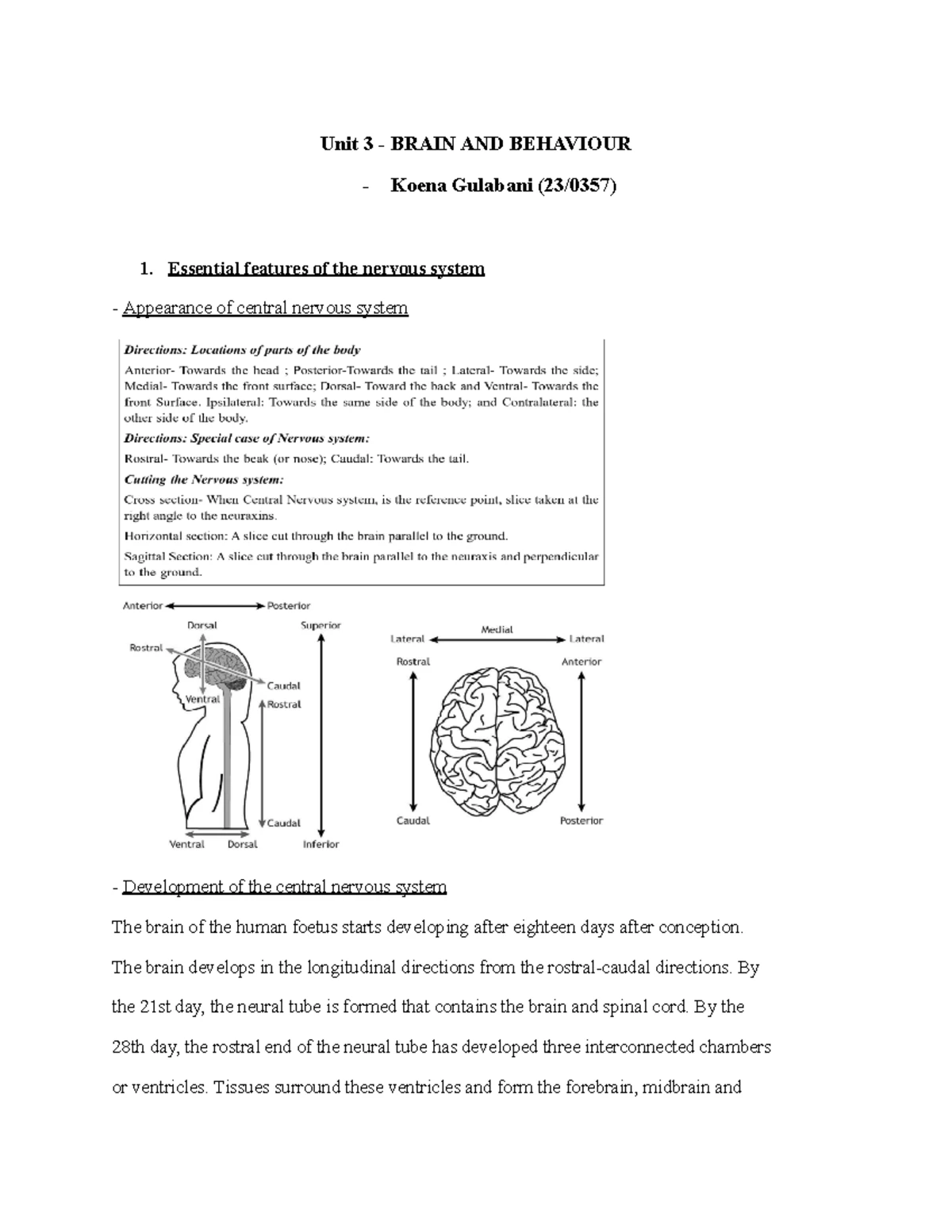 Unit 4 - Endocrine System Study Notes (Bio 23/0357) - Studocu