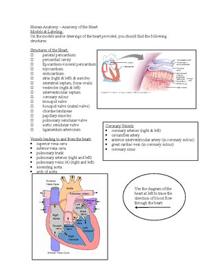 [Solved] The CF atrio means chamber antrum artery atrium ataxia ...