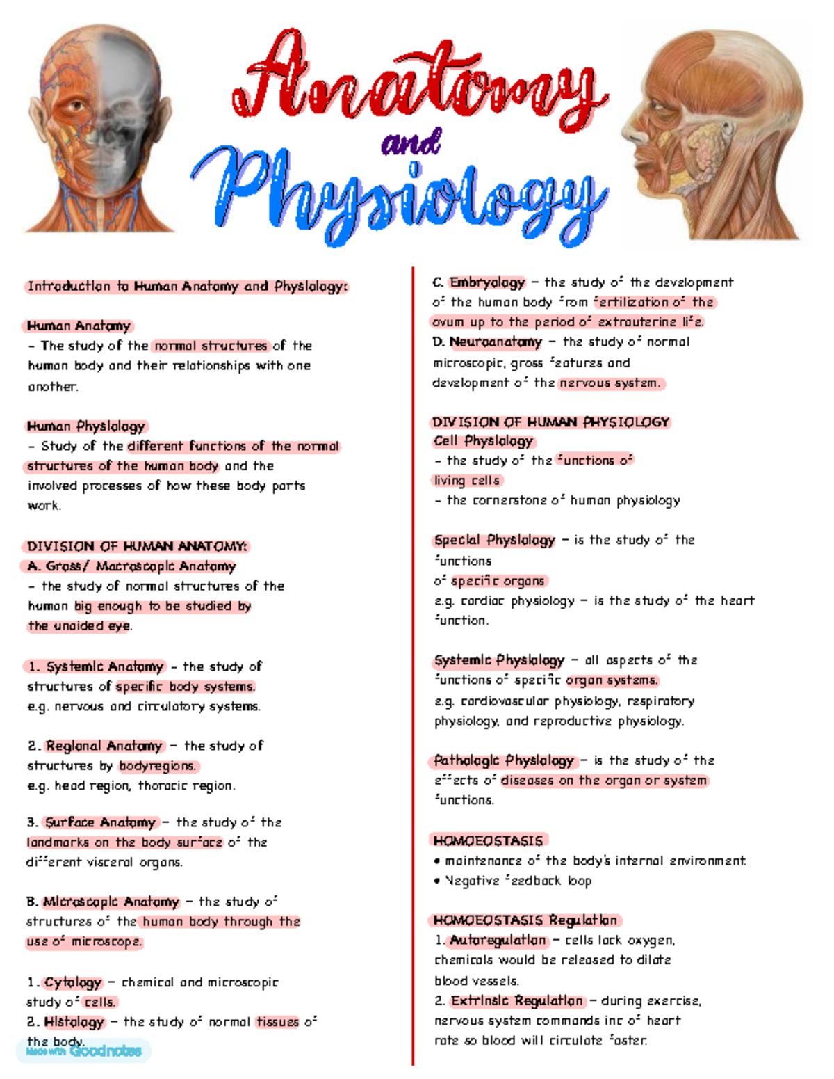Anaphy reviewer prelims - Introduction to Human Anatomy and Physiology ...