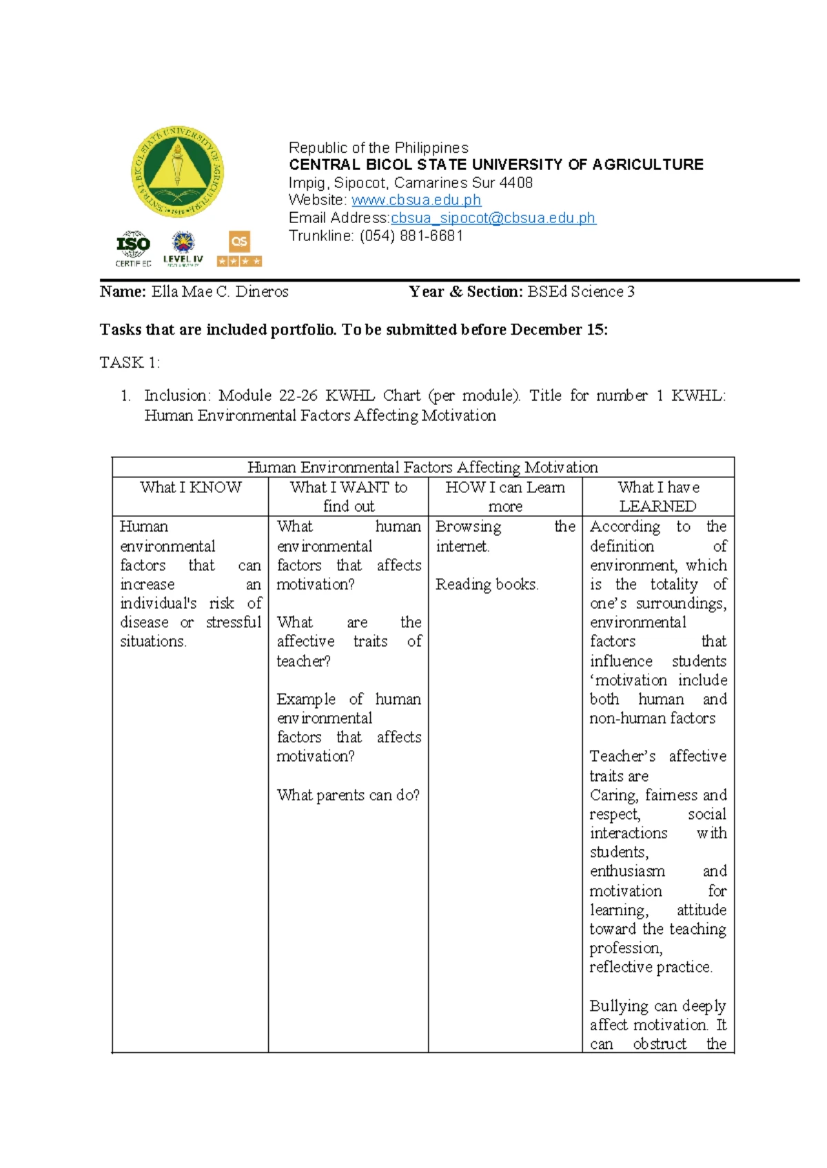 Bureau of Customs Org Chart Overview and Divisional Structure - Studocu