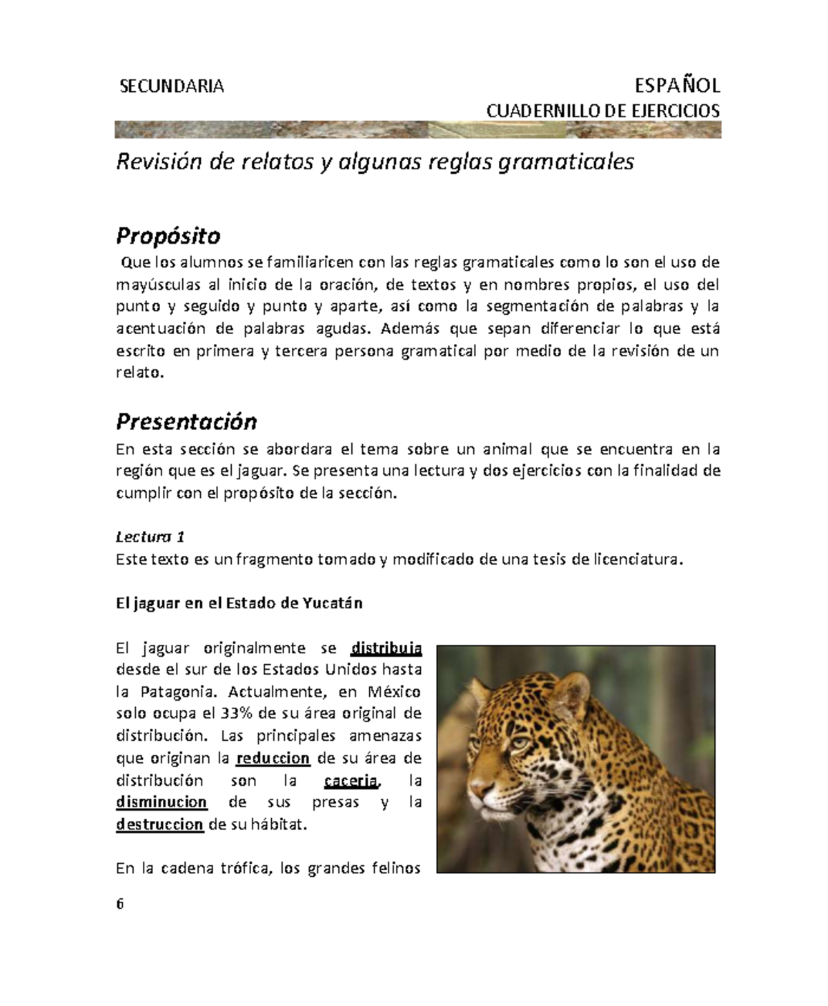 Cuaderno de Ejercicios: Comprensión del Jaguar y Aves Silvestres - Studocu