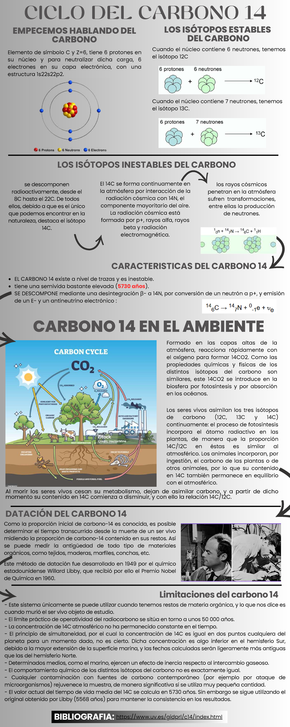 CICLO DEL CARBONO 14: Isótopos, Datación y Características - Studocu