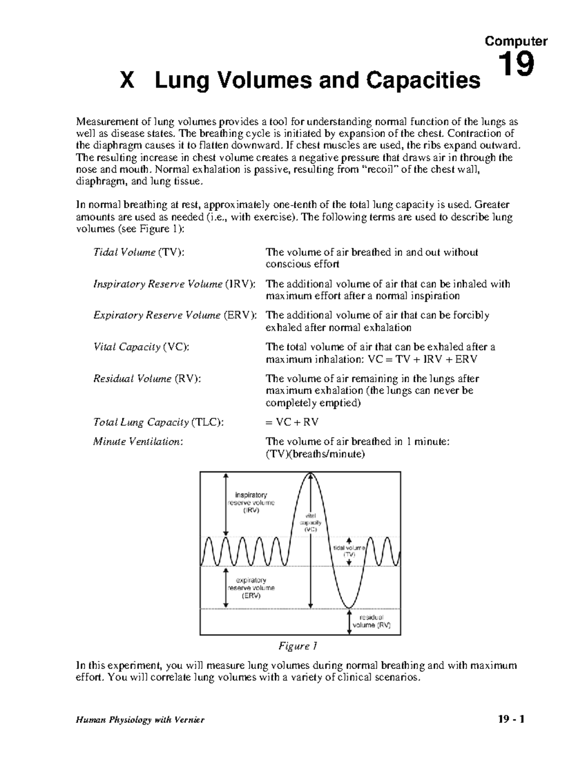 Lung Volumes Measurement in Human Physiology (19) - Experiment Guide ...