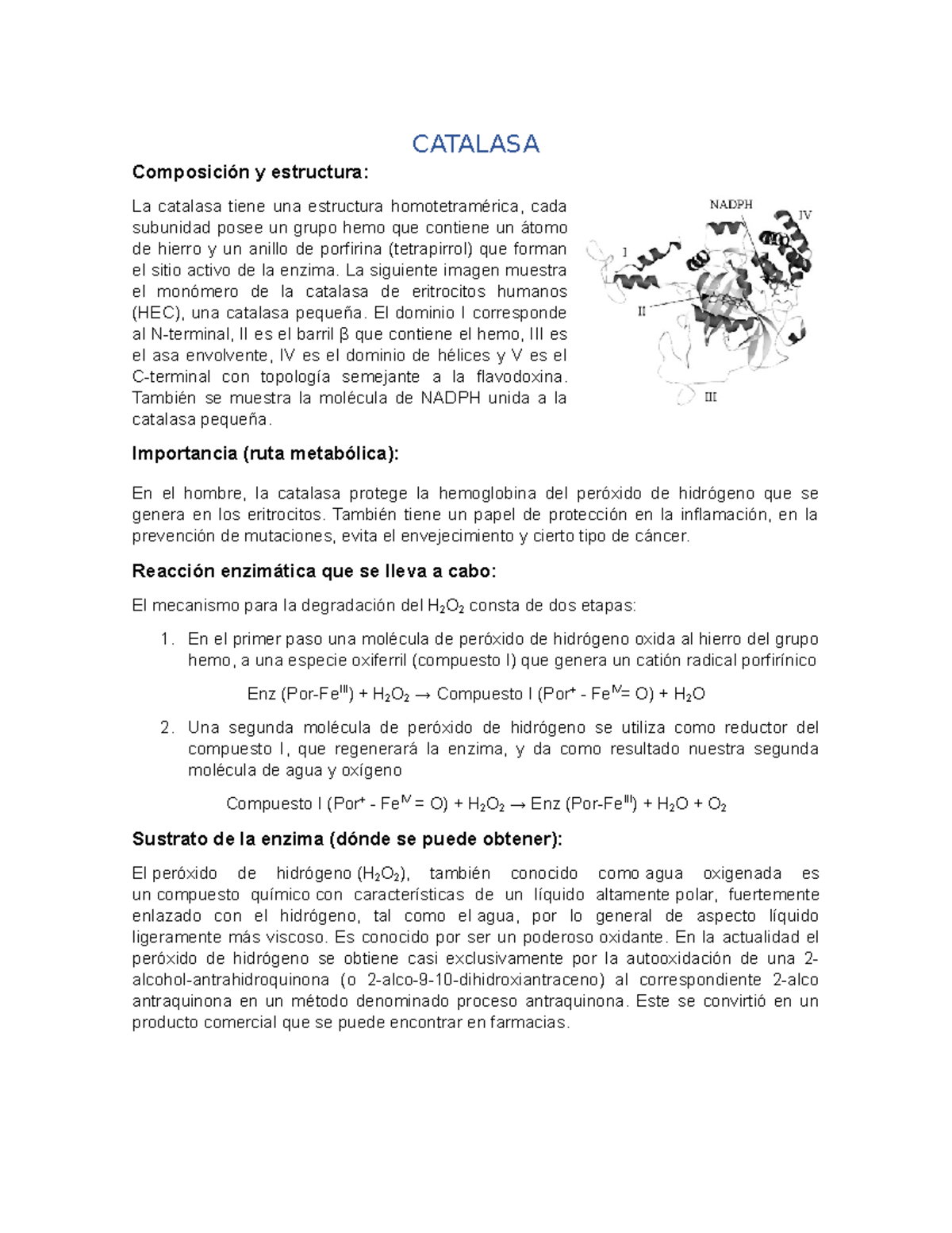 Catalasa HEC - Estructura, Función y Protocolo (Lab 5C) - Studocu