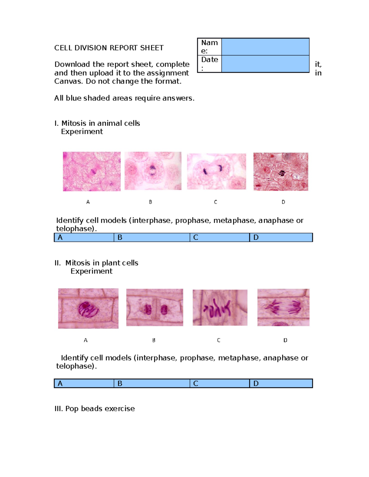 Cell division report sheet-2022 - CELL DIVISION REPORT SHEET Download ...