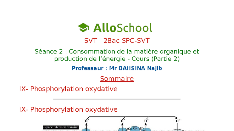 SVT : 2Bac Séance 2 - Consommation de Matière Organique et Énergie ...