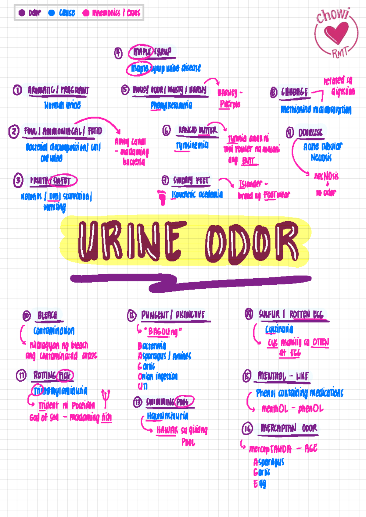 Urine Odor Causes and Mnemonics - VGB Study Notes - Studocu