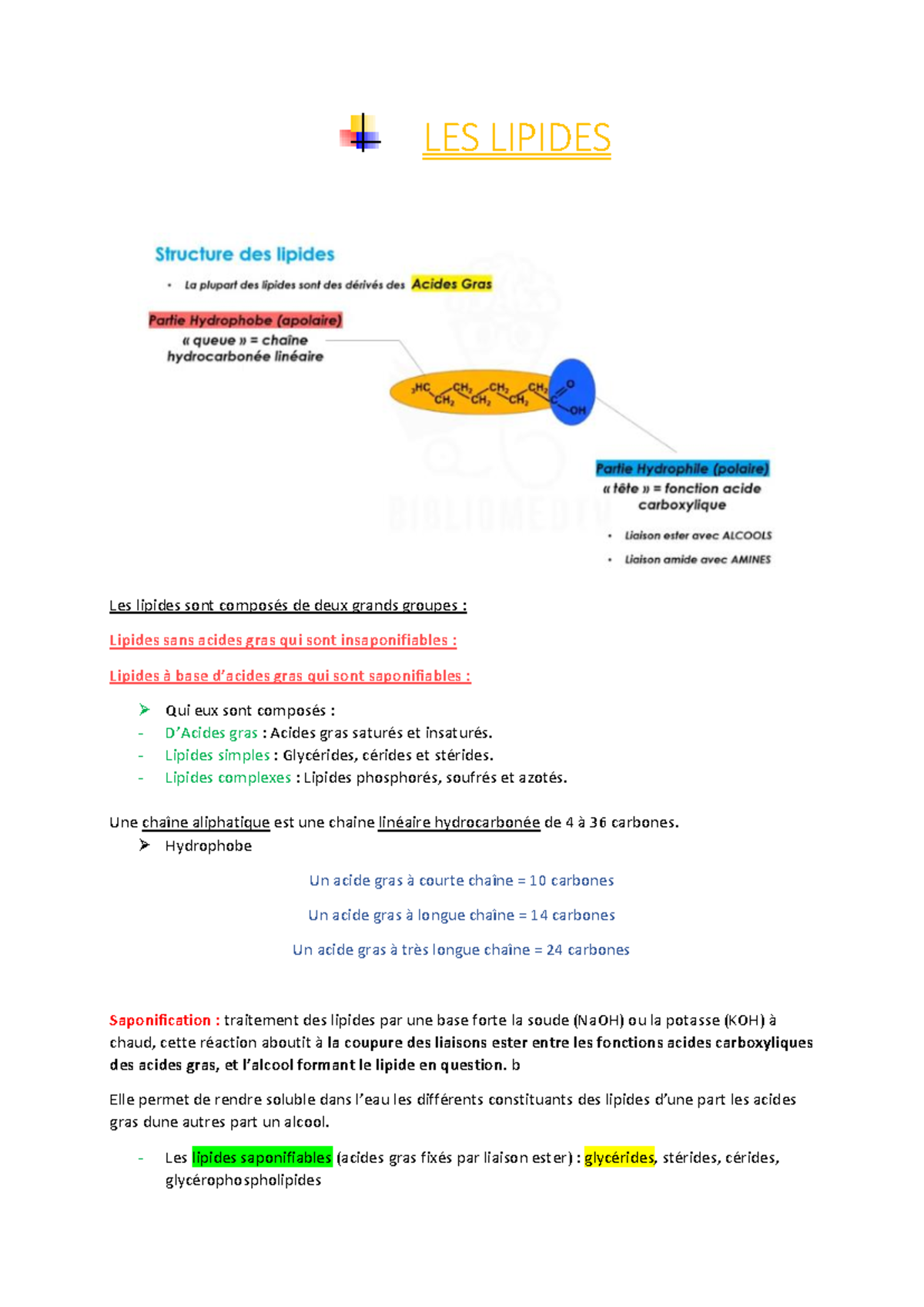 Fiche de révision : Les Lipides en Cours 1 - Composés et ...