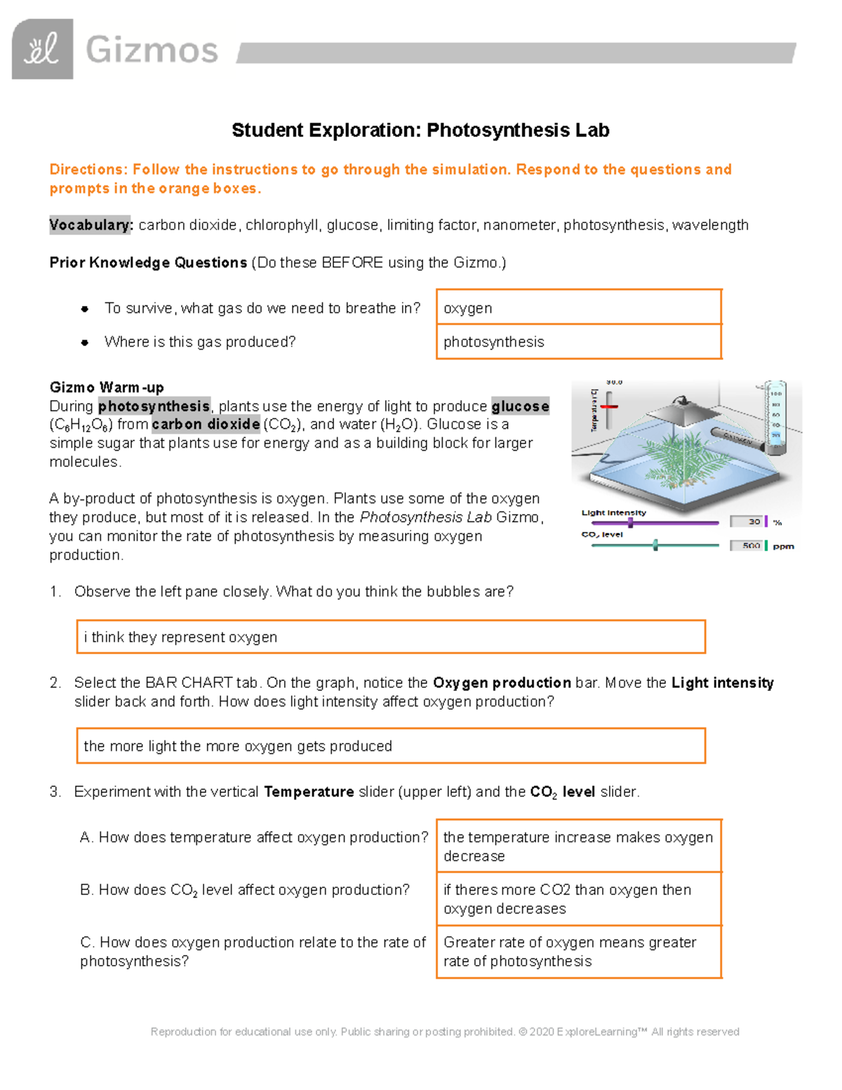 Photosynthesis Lab Exploration: Gizmo Simulation Insights - Studocu