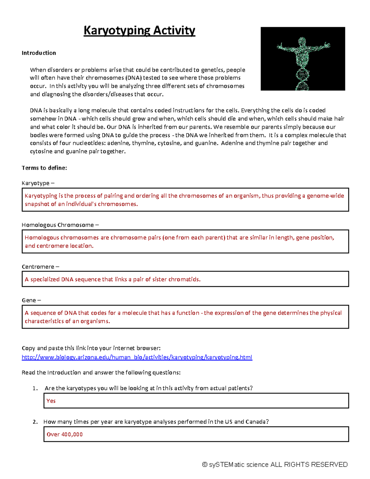 Karyotype Activity Answer Key - GEN 101 Lab Exercise Insights - Studocu