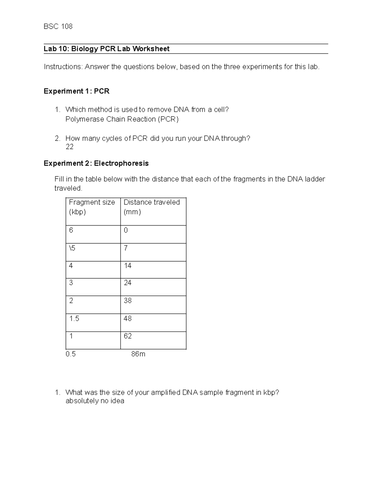 BSC 108 Lab 10: Biology PCR Lab Worksheet and Experiment Questions ...