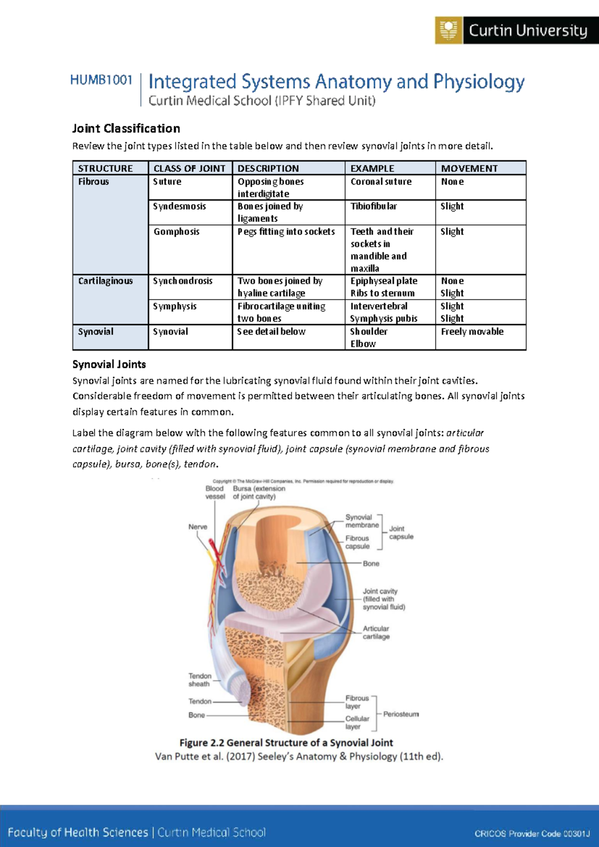 Mod 2 - Joint Classification and Synovial Joints Overview - Studocu