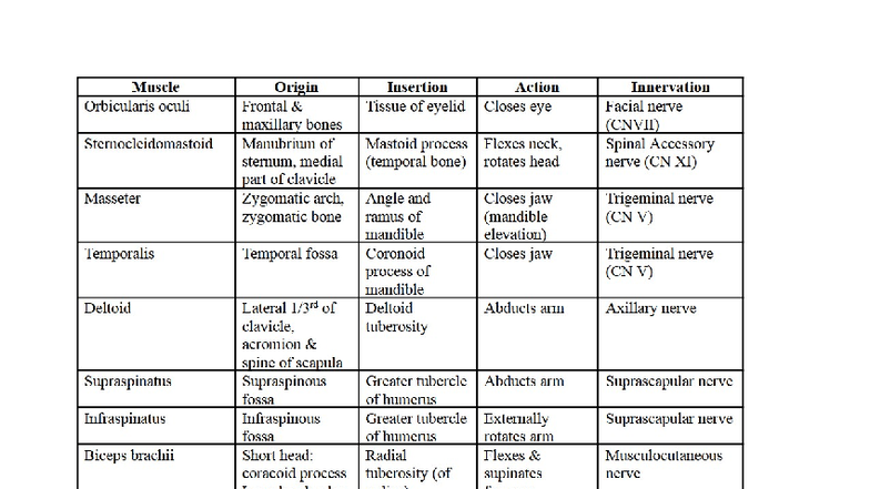 Muscle Insertion, Origin, Actions & Innervations Notes (ANAT 101) - Studocu