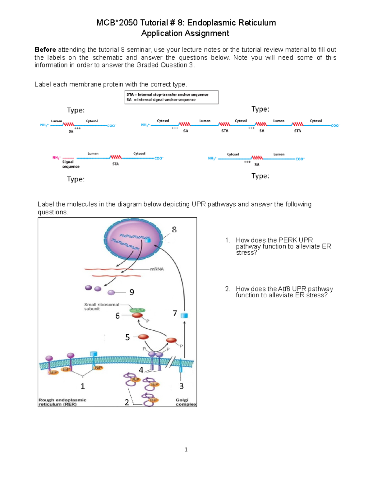 Tutorial - 8 MCB 2050 - Application Assignment Before attending the ...