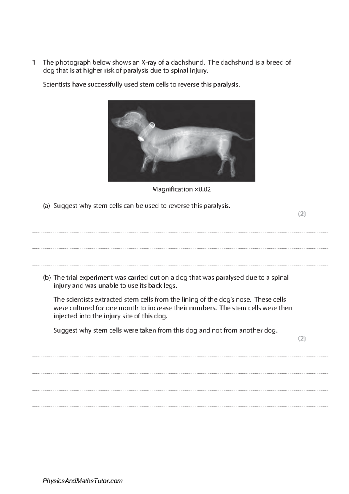 Stem Cells 1 QP - Practice Exam Questions Analysis and Insights - Studocu