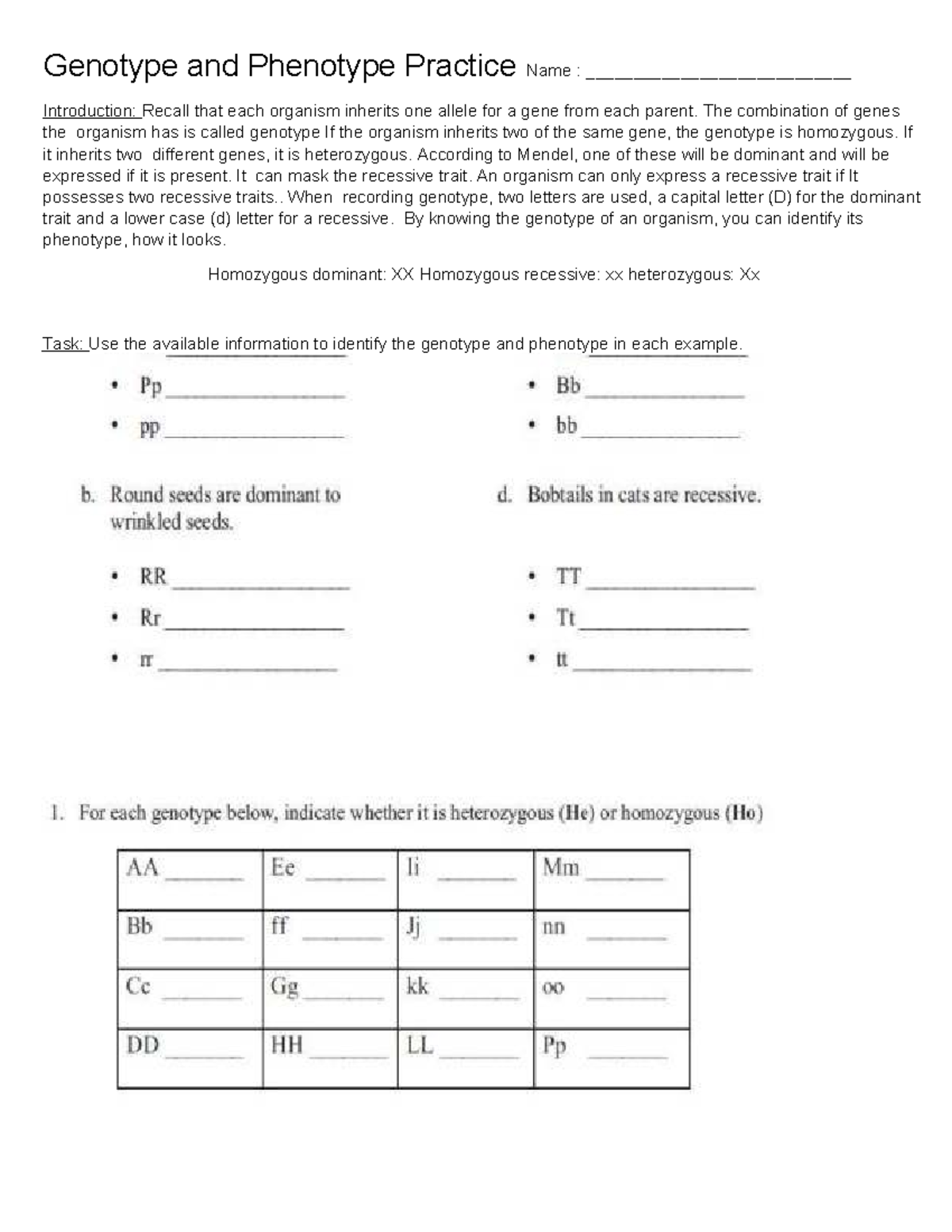 Genotype and Phenotype Practice Worksheet: Understanding Traits - Studocu