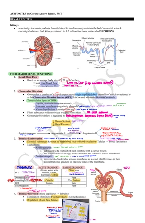 Life and Works of rizal - Life and Works of rizal Siblings of Dr. Jose ...