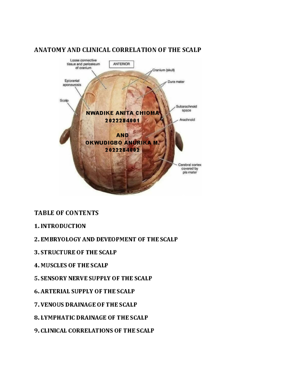 ANATOMY AND CLINICAL CORRELATION OF THE SCALP (ANAT 101) - Studocu