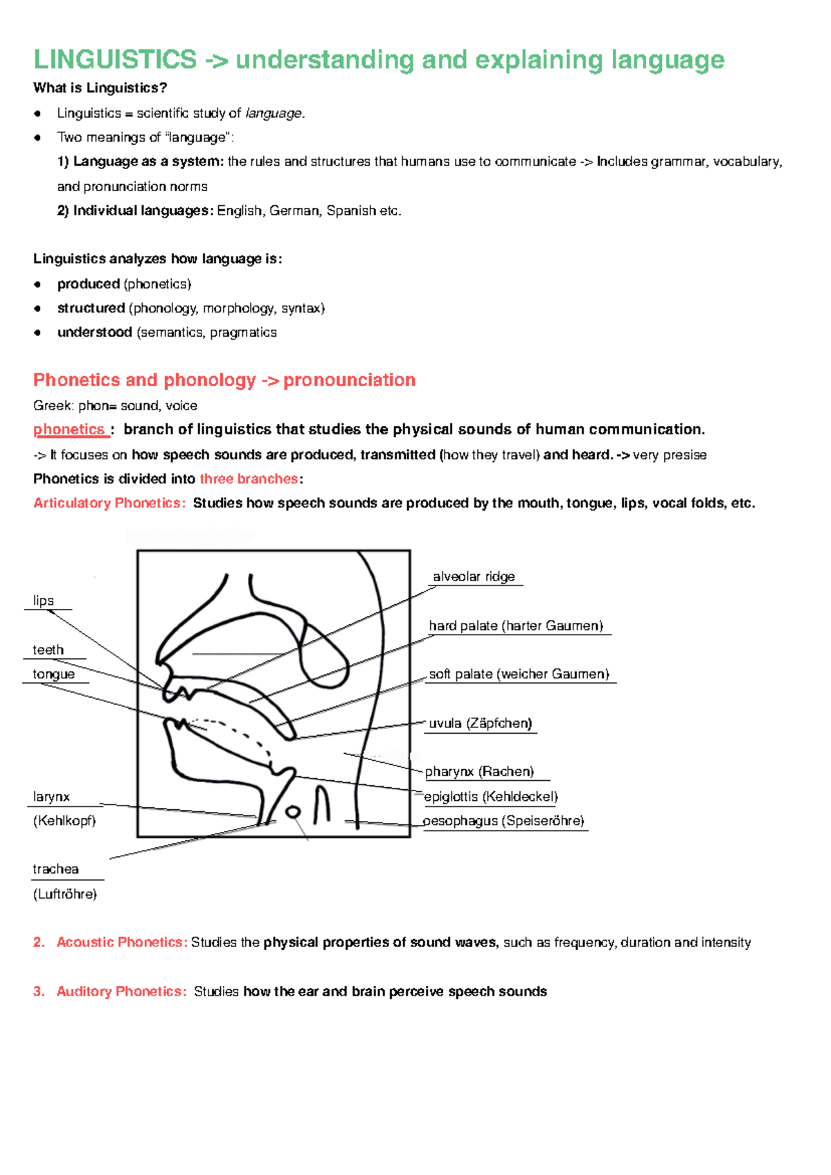LINGUISTICS 101: Midterm Study Guide on Language Fundamentals - Studocu