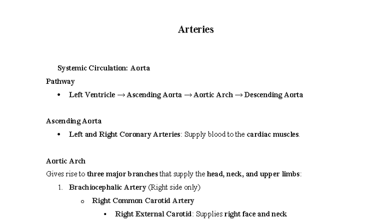 Systemic Circulation: Aorta Pathway & Major Arteries Overview - Studocu