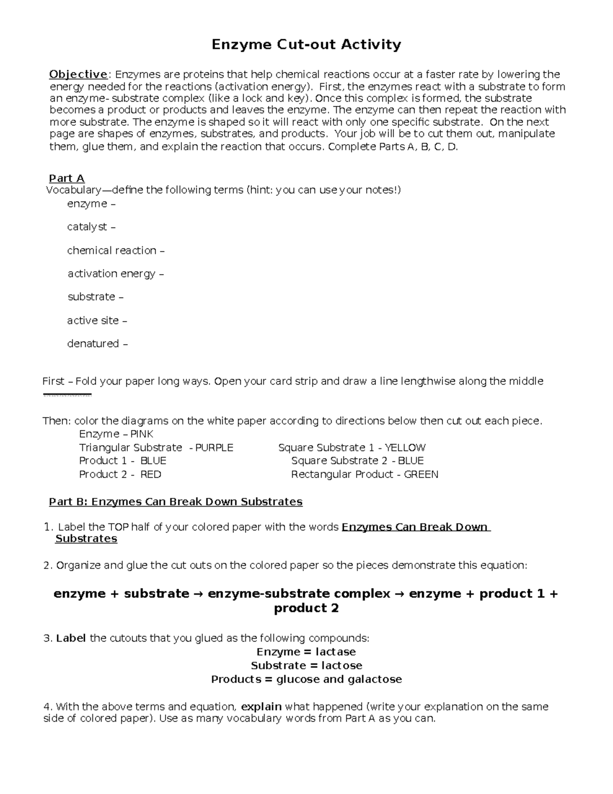 Enzyme Cut-out Activity: Understanding Enzyme Reactions and Graphing - Studocu