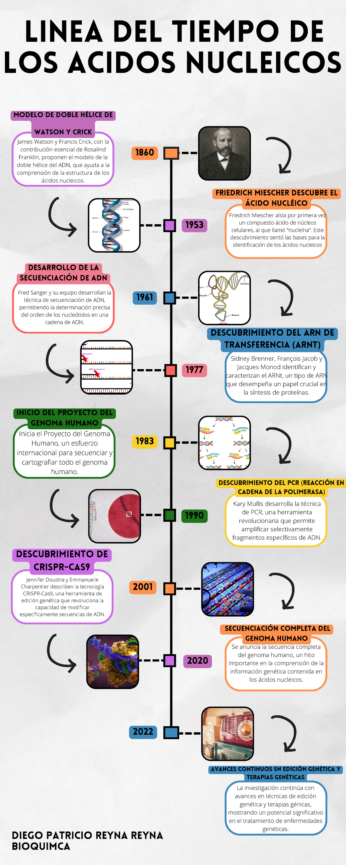 Timeline of Nucleic Acids Advancements in Biochemistry (BIO301) - Studocu