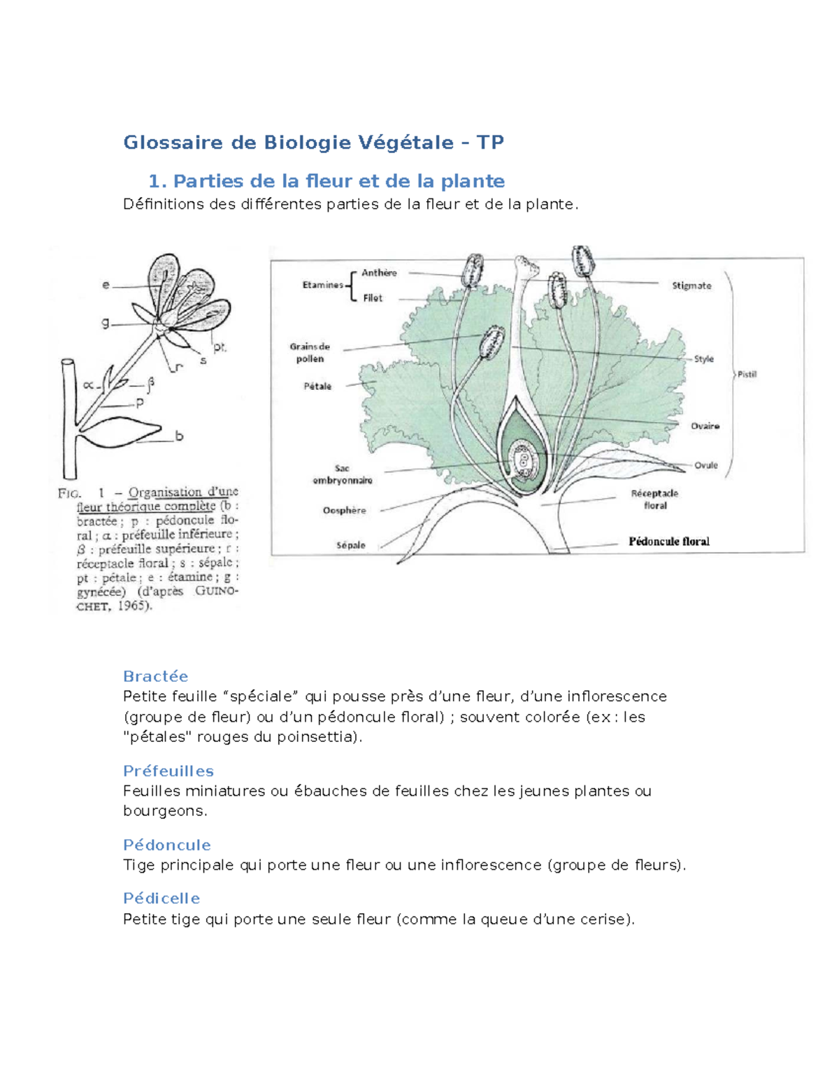 Glossaire de Biologie Végétale TP 1 : Parties et Types de Fleurs - Studocu