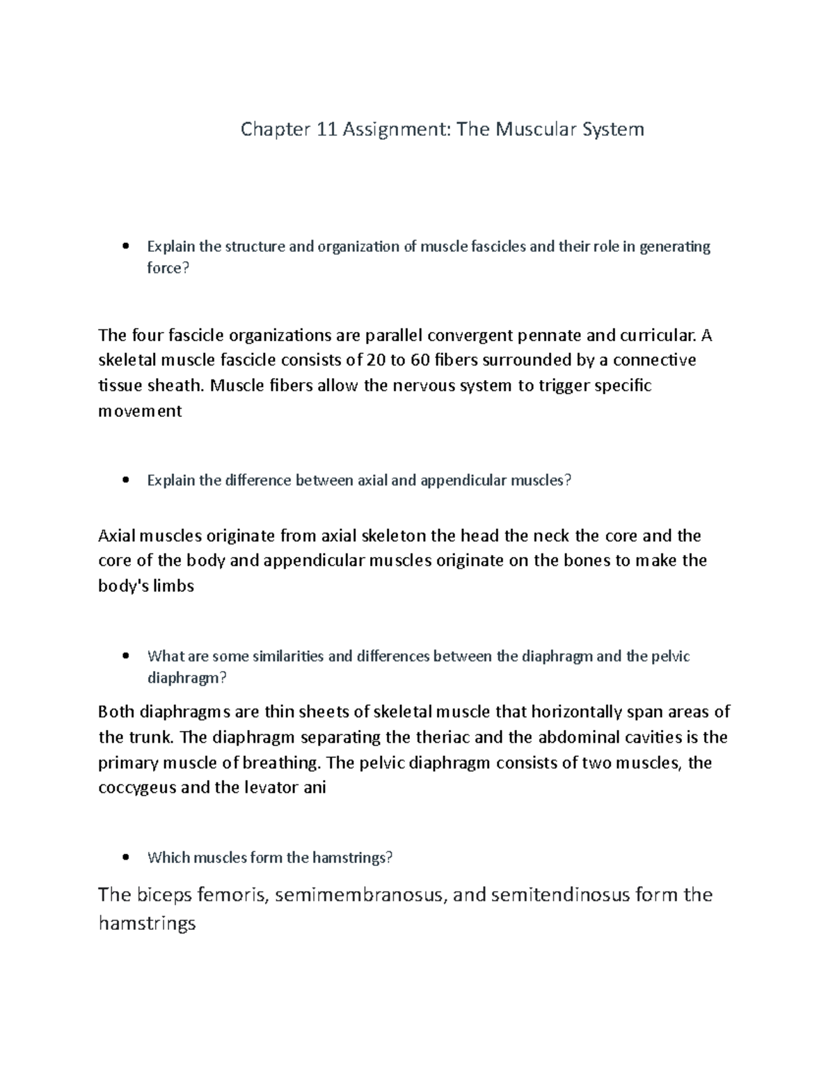 Muscular System Assignment - Chapter 11 Overview and Analysis - Studocu