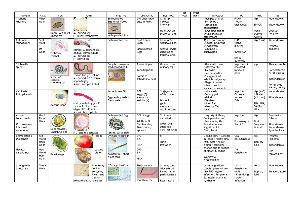Parasite Table - Parasitology - PARASITE A.K. EGG ADULT INFECTIVE ...