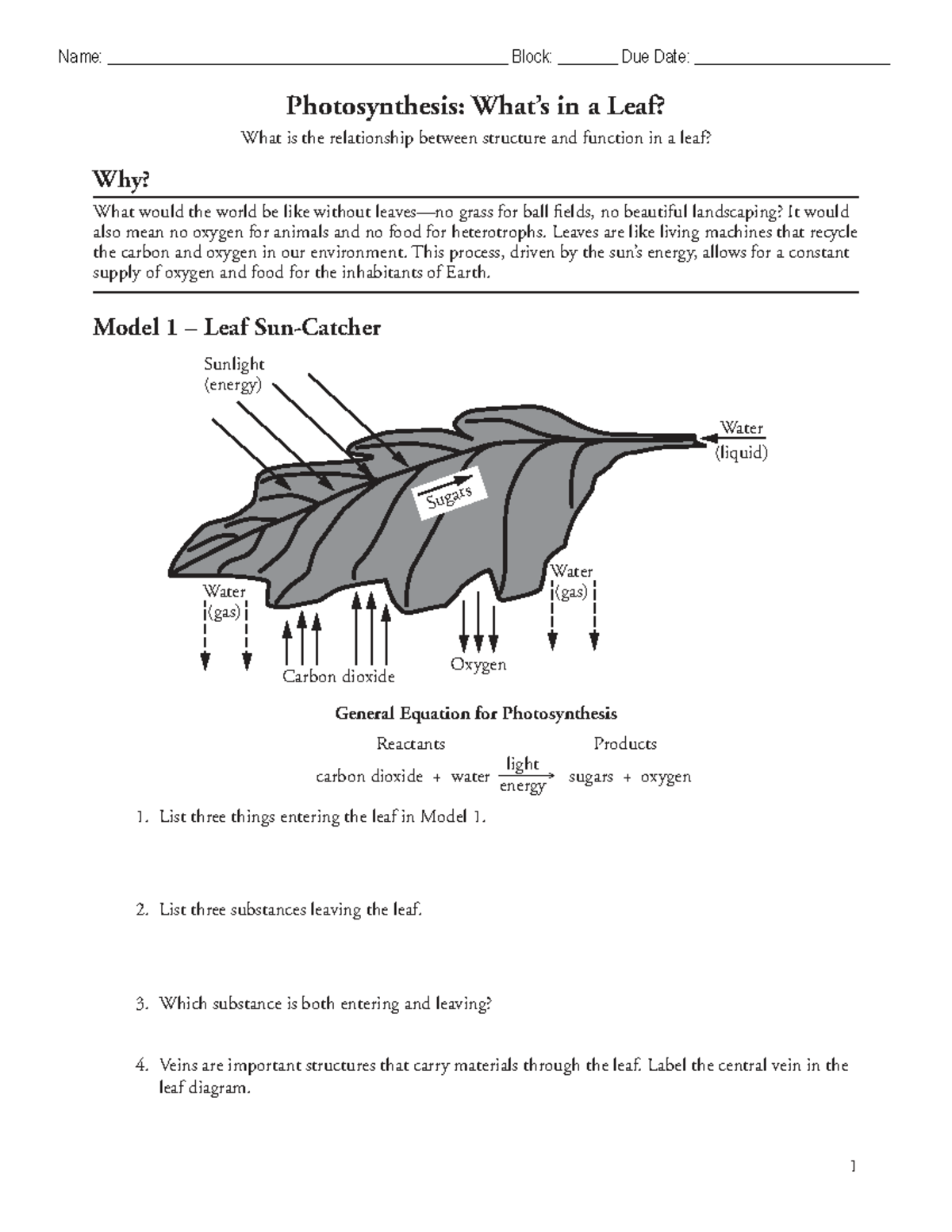 Pogil Worksheet: Photosynthesis in a Leaf (BIO 101) - Studocu